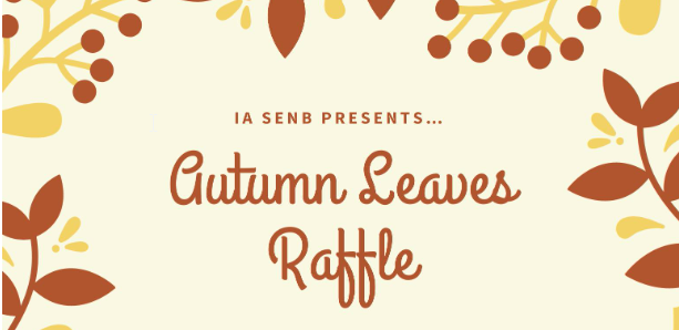 Fall Ticket Raffle - Inclusion Advocacy